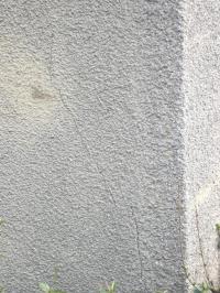Tyrolean Render Repair | The Original Plasterers Forum - The Plastering Forum - A forum For ...